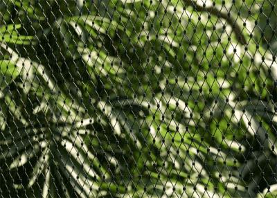 Cina Carson Stainless Steel Aviary Mesh ha fatto della maglia nera del cavo metallico dell'ossido in vendita