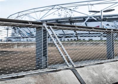 Cina recinto dell'uccelliera di Mesh Infill Ferruled For Zoo della balaustra del cavo di acciaio inossidabile di 1.2mm in vendita