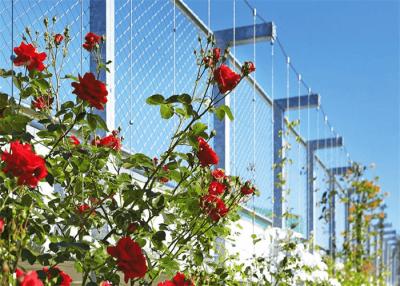 중국 짜여진 정원 장식적 로프 메쉬 펜스 펜스 패널을 위해 야외인 316L 집 판매용