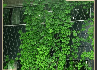 China Diamond Vegetable Plant Supporting Net Protection Ferruled Ultrasonic Bath for sale