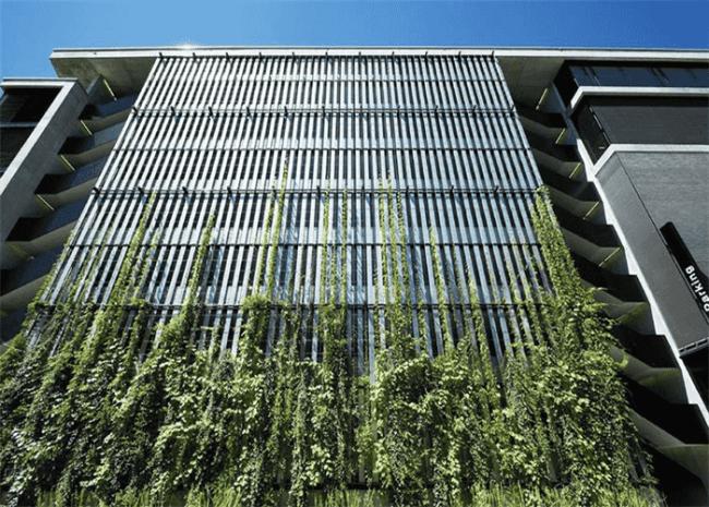 Stainless Steel Wire Rope Mesh / Cable Mesh Green Plant Climbing Trellis Wall Mesh For Garden