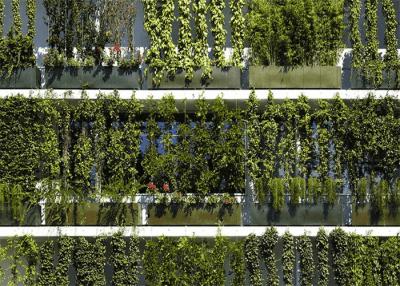 Cina Rete rampicante della pianta di giardino di AISI 304, traliccio della parete del cavo di acciaio inossidabile 1.2mm in vendita