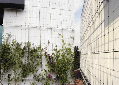 중국 AISI 304L Garden Trellis 안전망, 메쉬에게 4.0 밀리미터를 얻게 하는 1.4401 식물 지지체 판매용