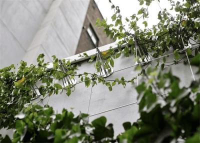 China AISI 304L Garden Trellis Net , 1.4401 Plant Support Netting Mesh 4.0mm for sale