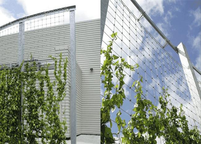 Stainless Steel Wire Rope Mesh / Cable Mesh Green Plant Climbing Trellis Wall Mesh For Garden