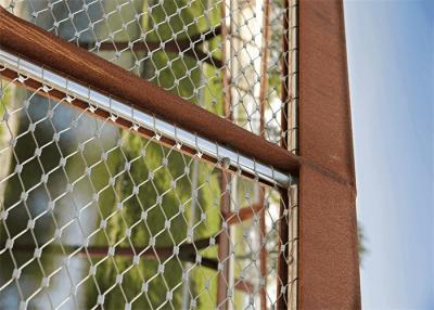 중국 벽체 스테인레스 강 격자 메쉬 정원 메쉬 녹색 식물 등산 판매용