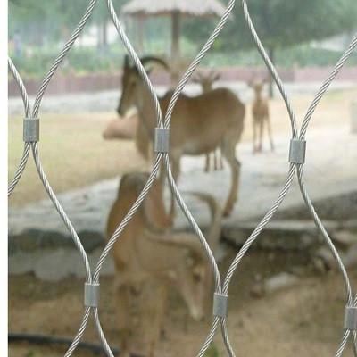중국 동물 보호하는 7X7 7X19를 위한 304L 동물원 스테인레스 강 로프 메쉬 판매용