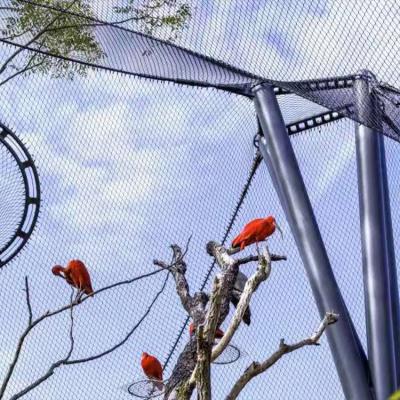 중국 동물원 금속 스테인리스강 케이블 메쉬는 초음파 세척기 새장 표범 케이블을 페룰을 달았습니다 판매용