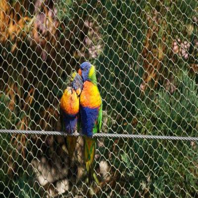 중국 SS304 SS316 손으로 짠 로프 메쉬, 탄력적 Ｘ는 와이어 메쉬를 얻는 동물학 구내를 돌봅니다 판매용