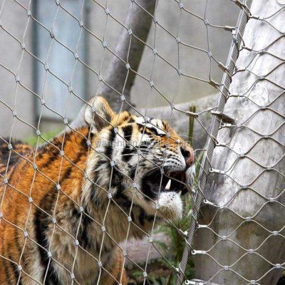 중국 3.0 밀리미터 25x25mm 스테인레스 강 로프 메쉬 가온은 직류 전기로 자극되어서 하강했습니다 판매용