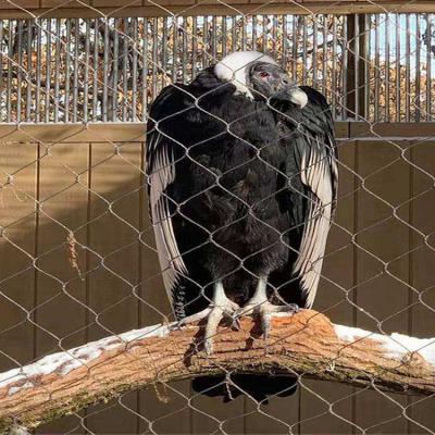 중국 마름모꼴 고장력강 와이어 메쉬 7*19 / 물미 와이어 로프 메쉬 초음파 세척기 판매용