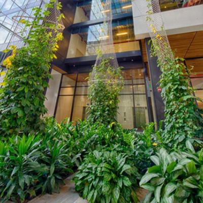 Cina acciaio inossidabile annodato 3.0mm Eco di Mesh Netting 316L del giardino della frutta amichevole in vendita