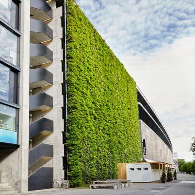 Cina Acciaio inossidabile netto rampicante del reticolato 7X19 1.5mm di sostegno della pianta ultrasonica del bagno in vendita