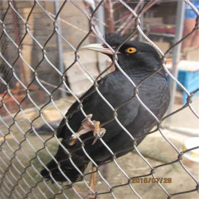 중국 아주 튼튼하 중금속 새장 체눈 Ｘ는 맞춤화된 25*25mm을 돌봅니다 판매용