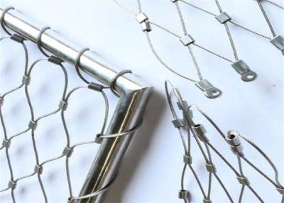 Cina La rete metallica decorativa dello zoo X tende i pannelli decorativi di griglia del metallo 316L di acciaio inossidabile in vendita