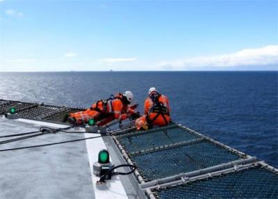 China Durable 316L Helipad Safety Net , Helideck Perimeter Net Stainless Steel for sale