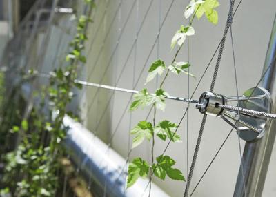 China 304 316 Green Garden Mesh Netting Architectural Facade 1.2mm Stainless Steel Trellis System for sale