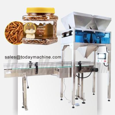 China Automatic Sweet Balls Gummy Bear Vitamins Fill Jar Gummies Candy Small Bottle Filling Machine Line for sale