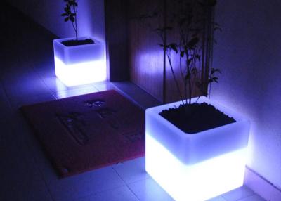 China Vierkant Verlichte Veelkleurige de Veranderings Ronde Gloed van Installatiepotten in Donkere Bloempotten Te koop