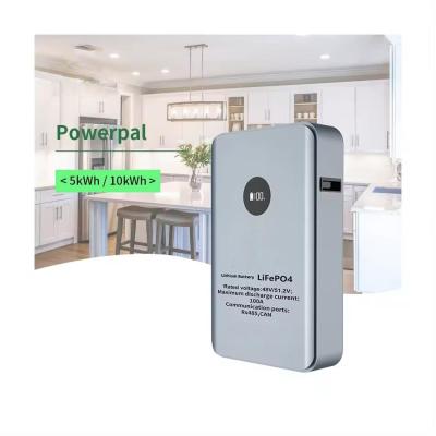 China 48V 51.2V 100Ah 200Ah Residential LiFePo4 Battery Energy Solutions Large Capacity Wall Mounted Type for sale