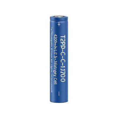 China TYPE-C 21700 Li-ion Battery Cell 4200mAh 3.6V Rechargeable Lithium Cell For Flashlight Bike Light Fan Instruments for sale