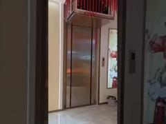 5 Stops Home Elevator Designed For 500mm Minimum Door Opening Width