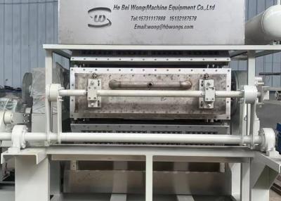 Cina Uovo completamente automatico di carta Tray Machine With Metal Dryer del modanatura 5by8 in vendita