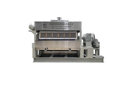 Cina Tensione di personalizzazione della macchina del vassoio dell'uovo di carta spappolante automatica 3000pcs/Hr in vendita