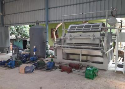 Cina 6000pcs l'uovo completamente automatico Tray Manufacturing Plant Waste Paper ricicla in vendita
