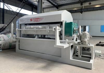 China Papierpulp 30 Celei Horizontaal Tray Molding Machine Metal Drying Te koop