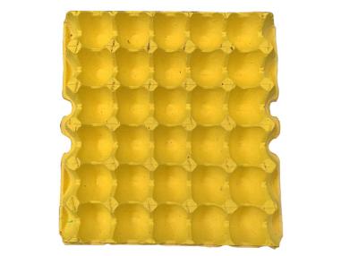 Cina Cavità di carta di plastica di Tray Machine Automatic 30 dell'uovo della muffa in vendita