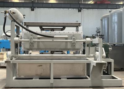 China Pulp Vormend Ei Tray Production Line/Machine voor Landbouwbedrijvenpapier Kringloop Te koop