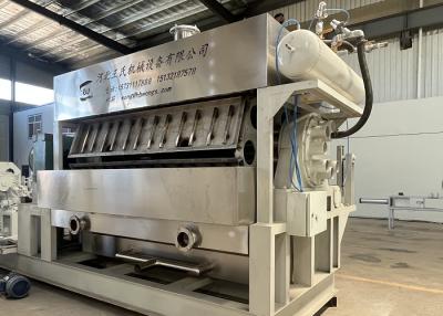 China Formación de Tray Machine 5by8 del huevo del CE de la pequeña empresa en venta