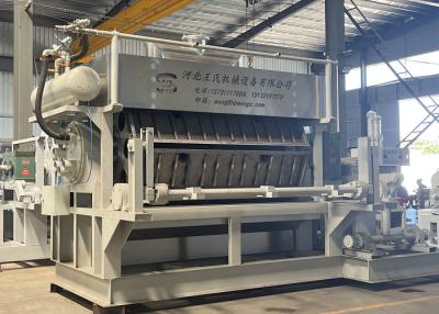 China Full Automatic 4000pcs Egg Tray Moulding Machine Multi Layer Drying Oven Rotary for sale