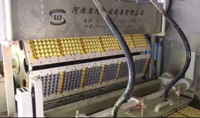 中国 6つの側面による8つの型は卵の皿機械7000 Pcs/Hr高いオートメーションをパルプにする 販売のため