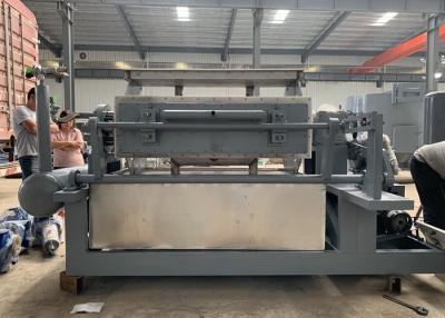 Cina Uovo automatico Tray Machine dei semi WS-2000 in vendita