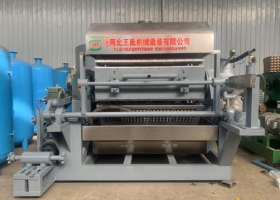China 3200*2000*2300mm 4x8 Gezichtsei Tray Production Line Pulp Molding 380V Te koop