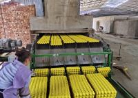 China 5 by 8 Rotary Egg Tray Machine 5000pcs per Hour Waste Paper Recycling for sale