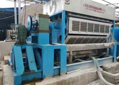 Cina 7000 uovo automatico Tray Forming Machine di Tray Machine 200kw dell'uovo di Pcs/Hr 40m*20m in vendita