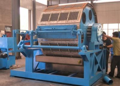 Cina Uovo Tray Moulding Machine Fully Automatic della polpa del metanolo Ws-7000 in vendita