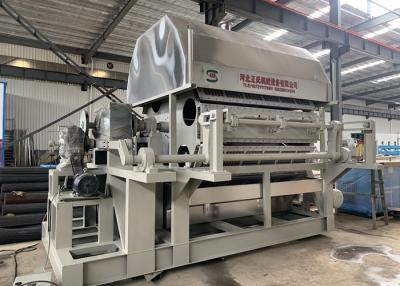 China 8000 Pcs/Hr Altpapier-Ei Tray Machine 48 Formungsformen 380V/50HZ zu verkaufen
