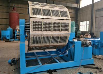 Cina Norma completamente automatica 7000 Pcs/Hr del CE di Tray Machine dell'uovo WS-7000 in vendita