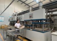 China 4-Axis Robot Pulp Biodegradable Tableware Machine 3500kg for sale