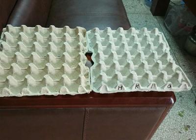 Cina L'energia bassa consuma l'uovo Tray Machine 3 dalla muffa di plastica di formazione 4 in vendita