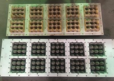 Cina Macchina residua di Tray Mold For Egg Tray dell'uovo di CNC del modanatura della cartapesta in vendita