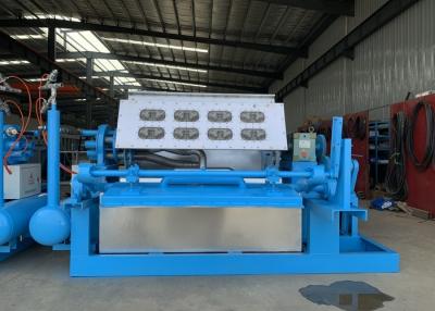 Cina La metà di carta straccia WS-1*4 dell'uovo dell'acqua rotatoria di Tray Machine 240kg/H consuma in vendita