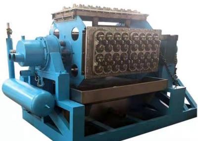 Cina Uovo residuo riciclato Tray Machine Pulp Moulding della carta 6500pcs in vendita