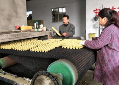 中国 時間の鶏の卵のための回転式パルプの卵の皿の成形機ごとの4000pcs 販売のため