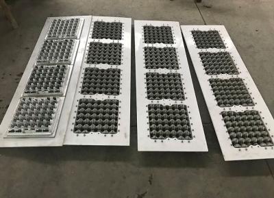 Cina 1000pcs/Hr spappolano il vuoto automatico completo della macchina di Thermoforming per i vassoi dell'uovo in vendita