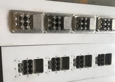 China 12 huevos encuadiernan el molde de la pulpa modificado para requisitos particulares con el CE pasajero en venta